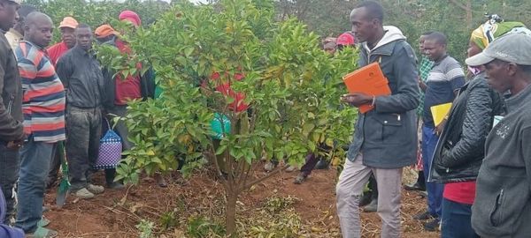 About us | AARON AGRONOMY SERVICES